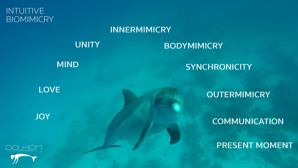 Intuitive Biomimicry - Dolhom